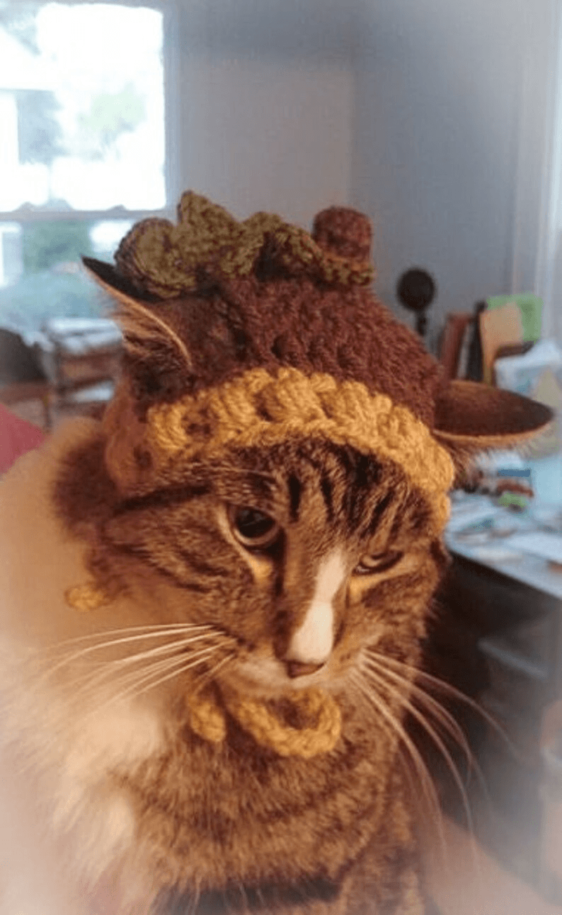 Crochet Cat Hat Pattern ( SitnCrochet 2026