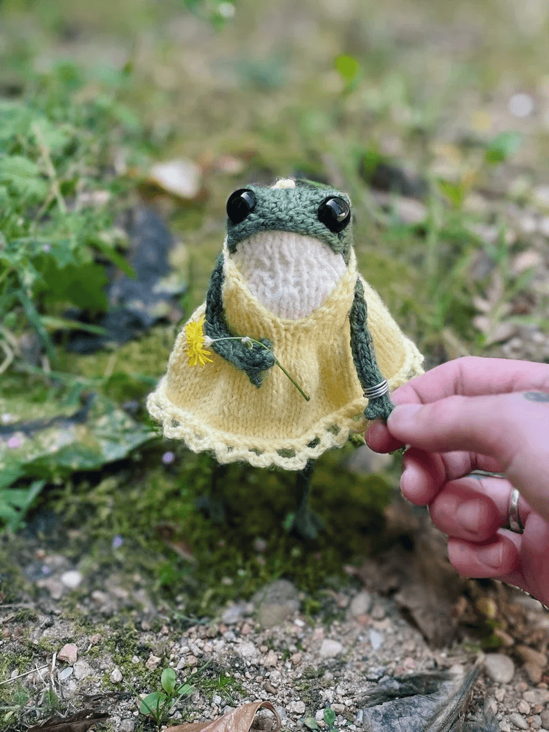 Knit Frog Pattern ( SitnCrochet 2025