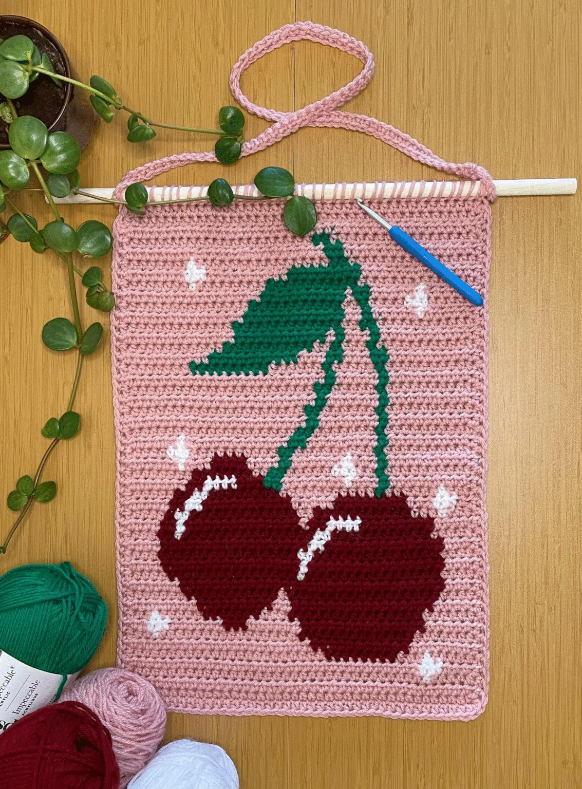 Tapestry Crochet Graphs: Beginner Crochet Pixel Pattern ( SitnCrochet 2026